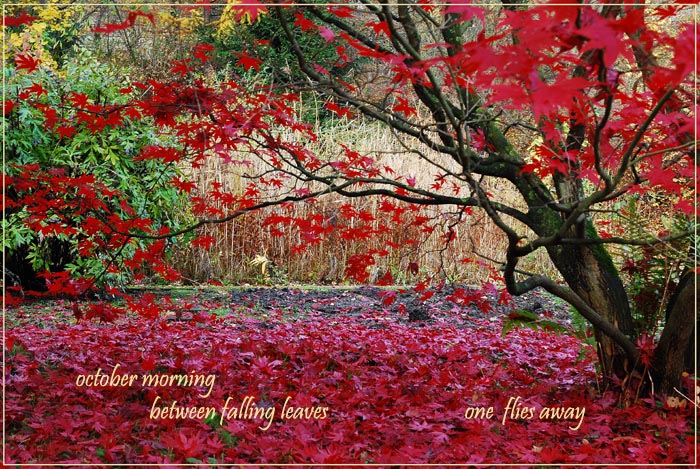 Simply Haiku: A Quarterly Journal of Japanese Short Form Poetry ...